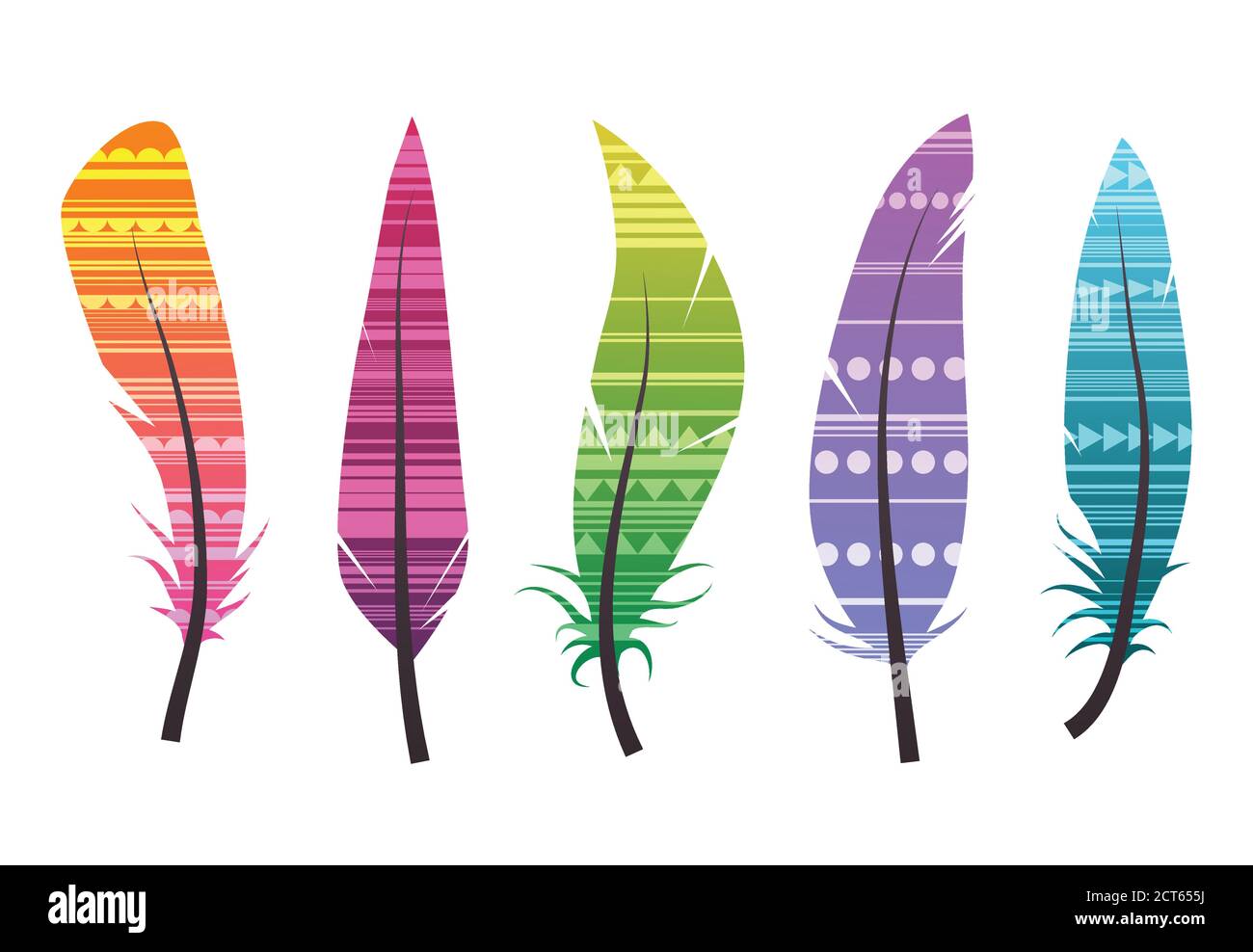 Set of colorful different feathers with ethnic pattern. Vector native ...