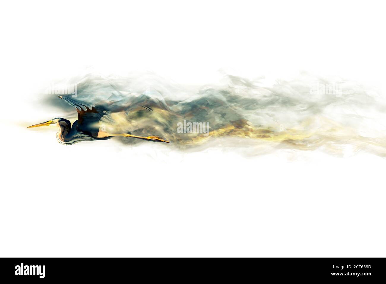 Abstract nature. Flying bird. Dispersion effect. White background Stock ...