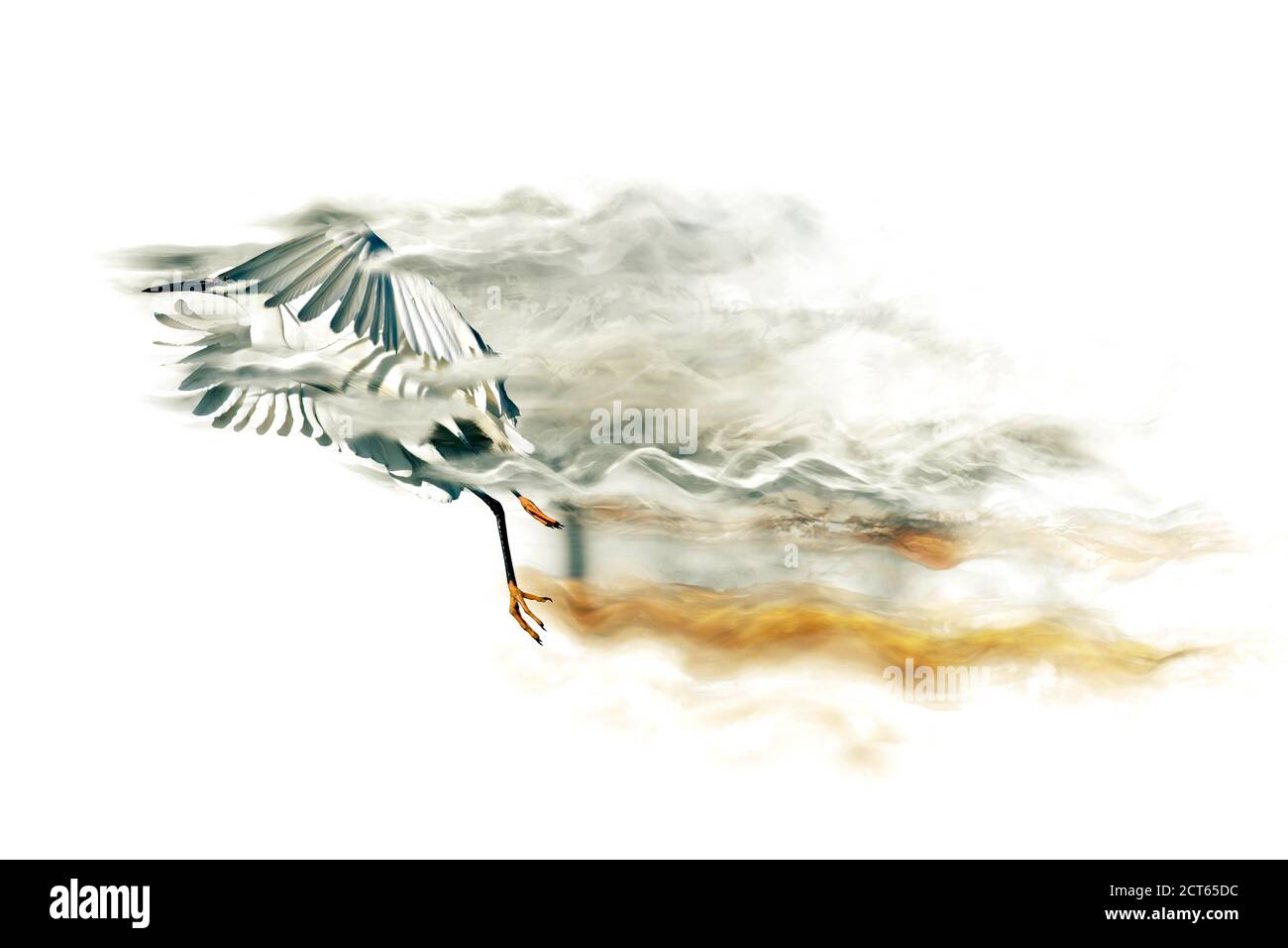 Abstract nature. Flying bird. Dispersion effect. Black background Stock ...