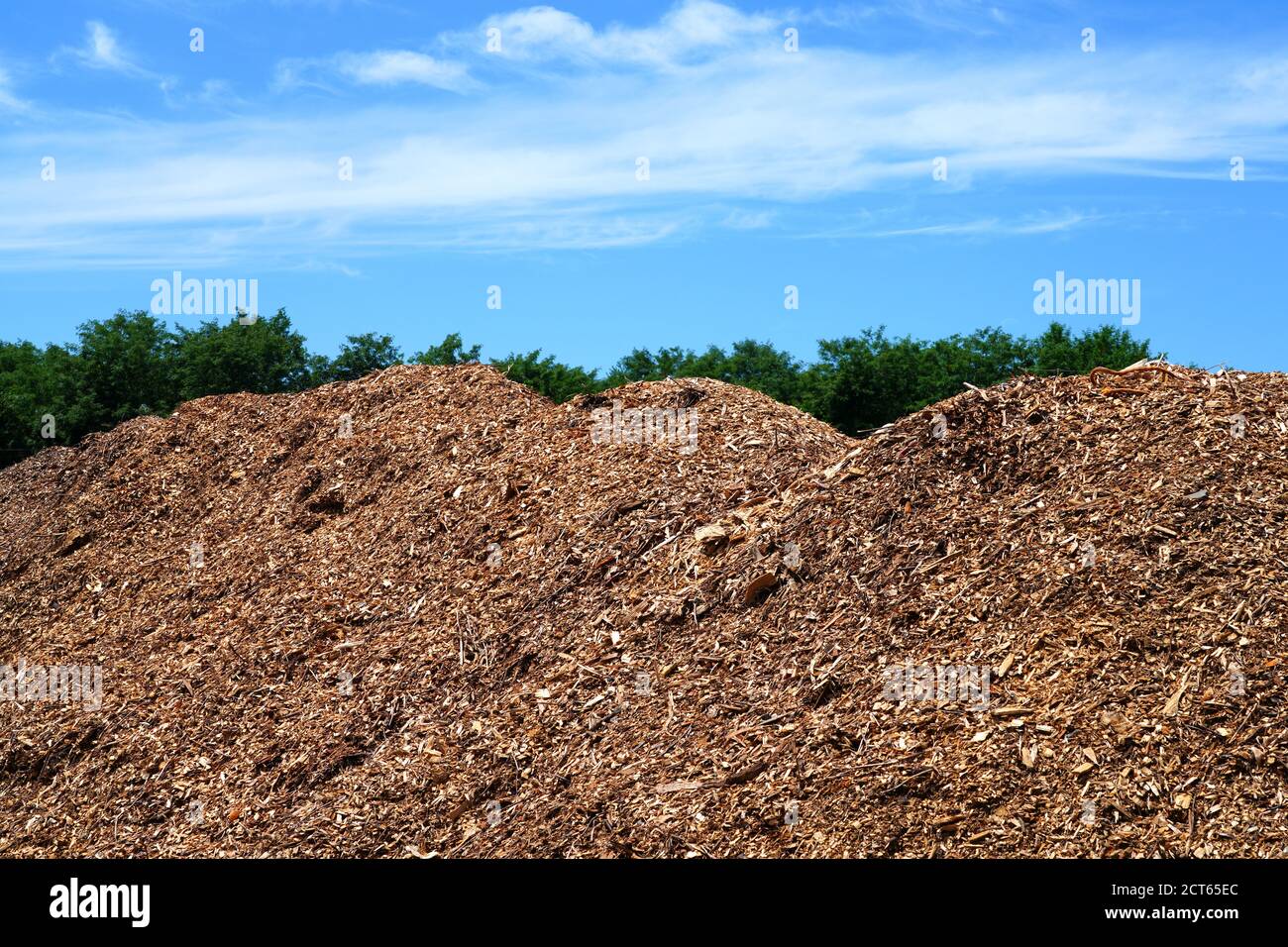 Garden compost used as mulch hi-res stock photography and images - Alamy