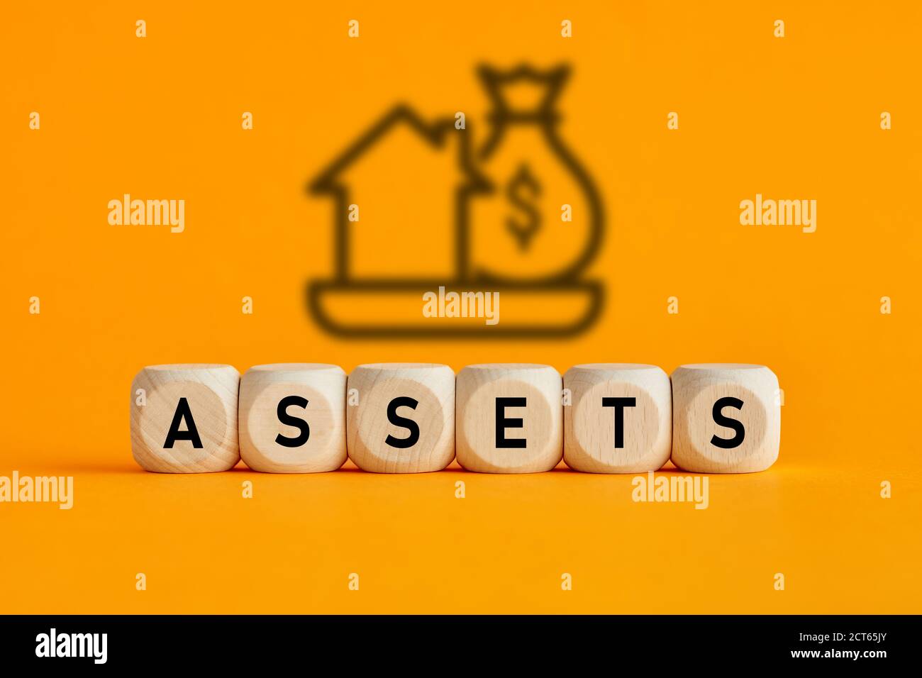 Assets Icon