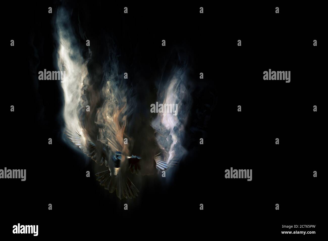 Abstract nature. Flying bird. Dispersion effect. Black background Stock ...