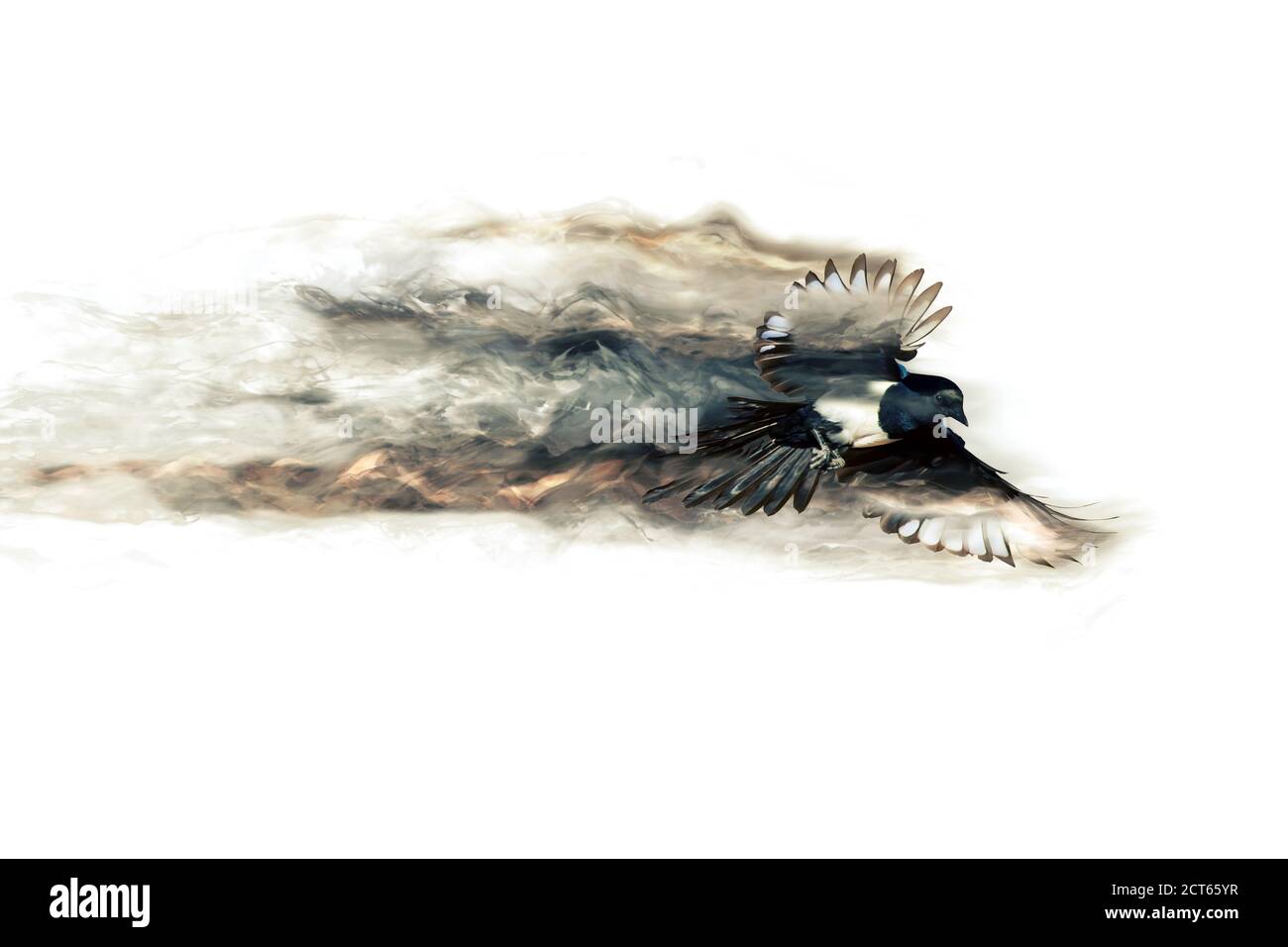 Abstract nature. Flying bird. Dispersion effect. White background Stock ...