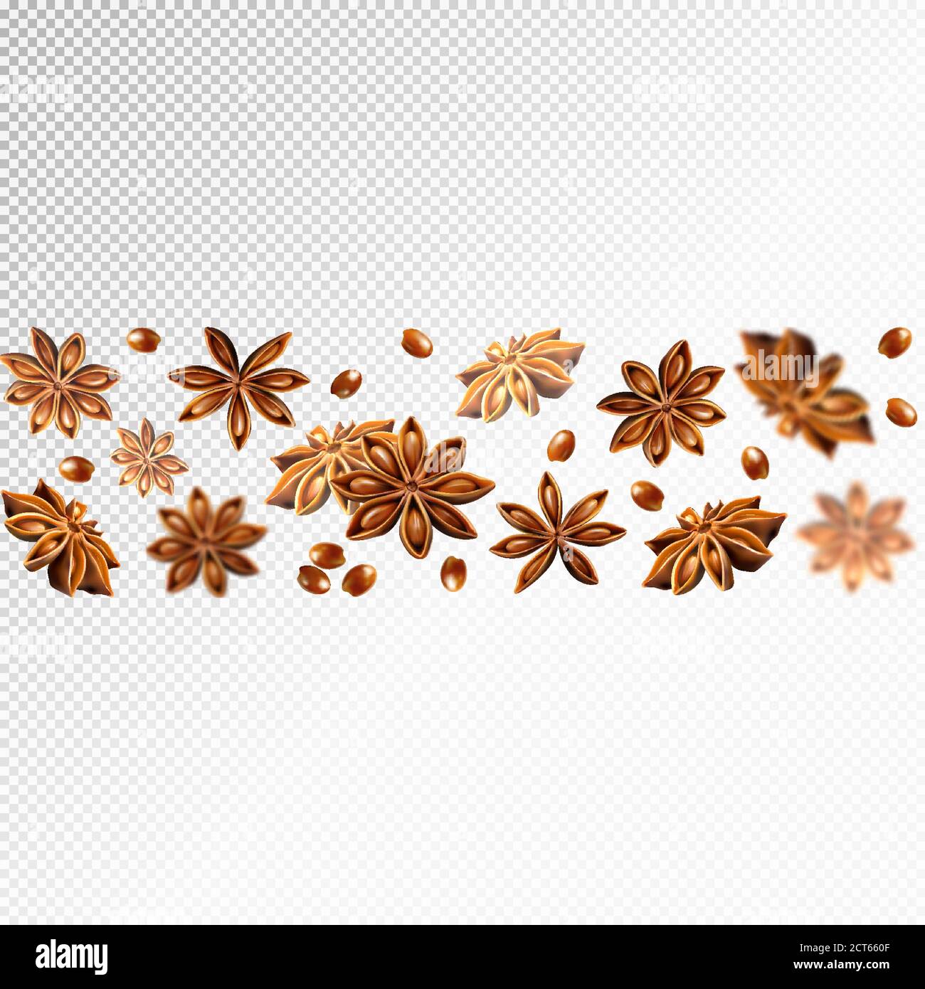 Seamless star anise border. Quality realistic vector, 3d illustration ...