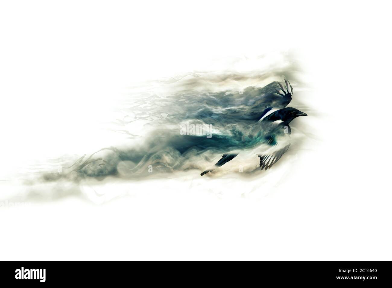 Bird dispersion effect hi-res stock photography and images - Alamy