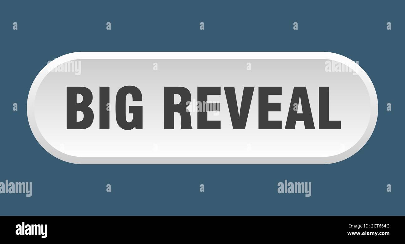 big reveal button. rounded sign isolated on white background Stock ...