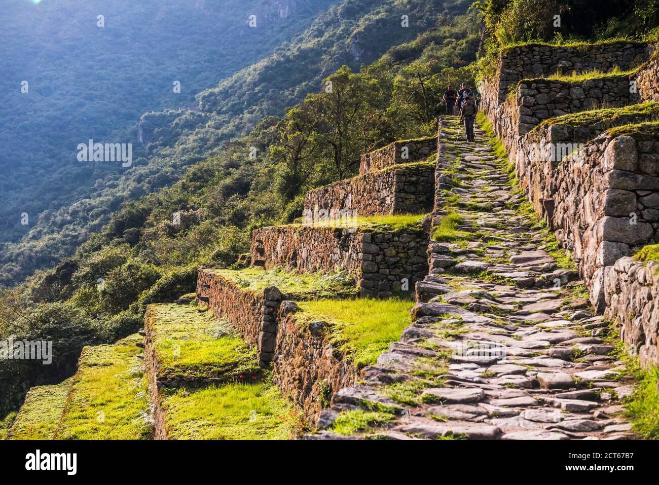 Inca terraces at Machu Picchu Inca ruins, Cusco Region, Peru, South ...
