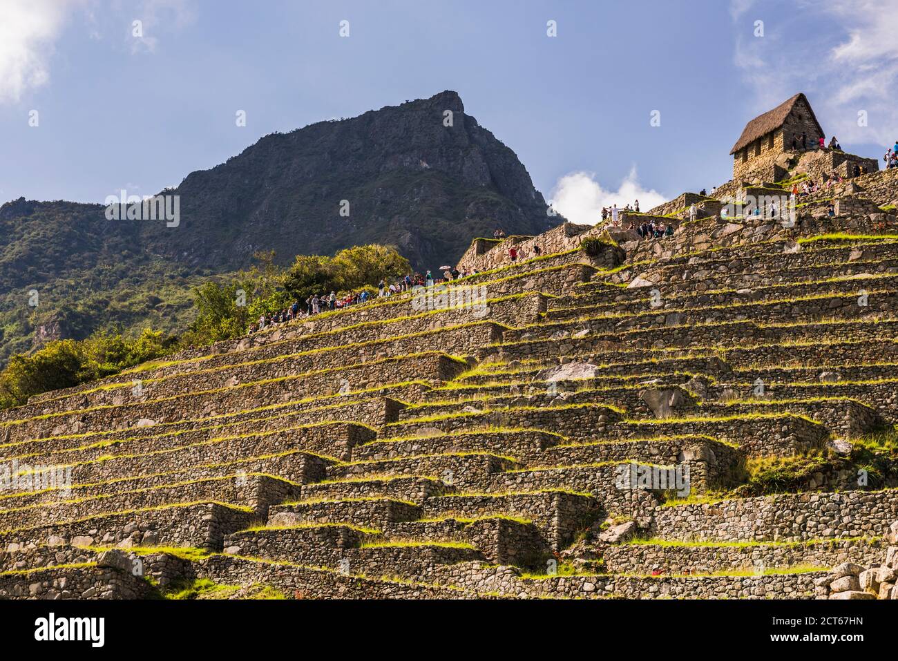 Inca terraces at Machu Picchu Inca ruins, Cusco Region, Peru, South ...