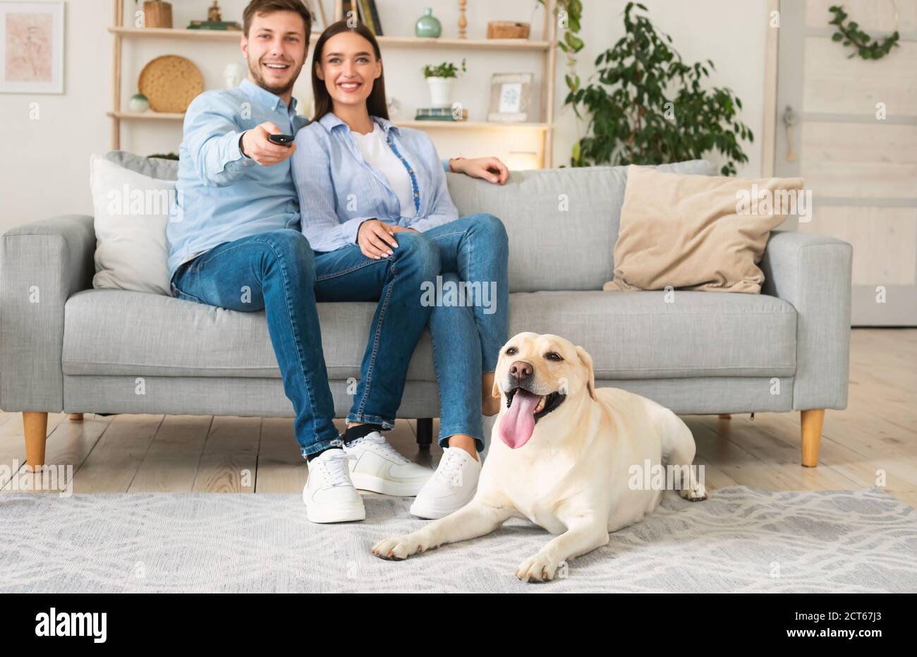 Dog watching tv with family hi-res stock photography and images - Alamy