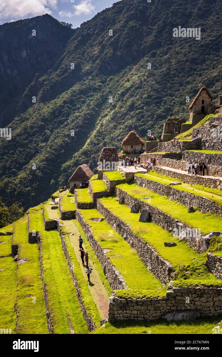 Inca terraces at Machu Picchu Inca ruins, Cusco Region, Peru, South ...
