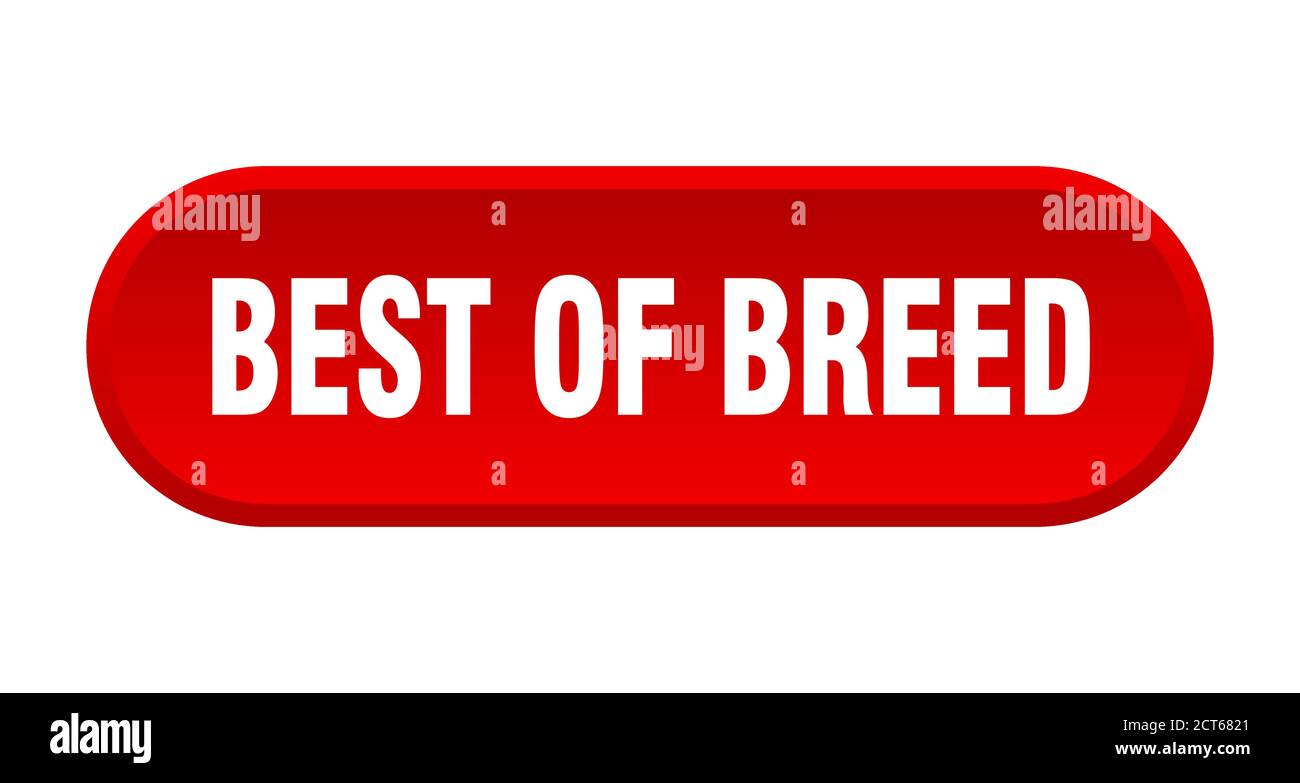 best of breed button. rounded sign isolated on white background Stock ...