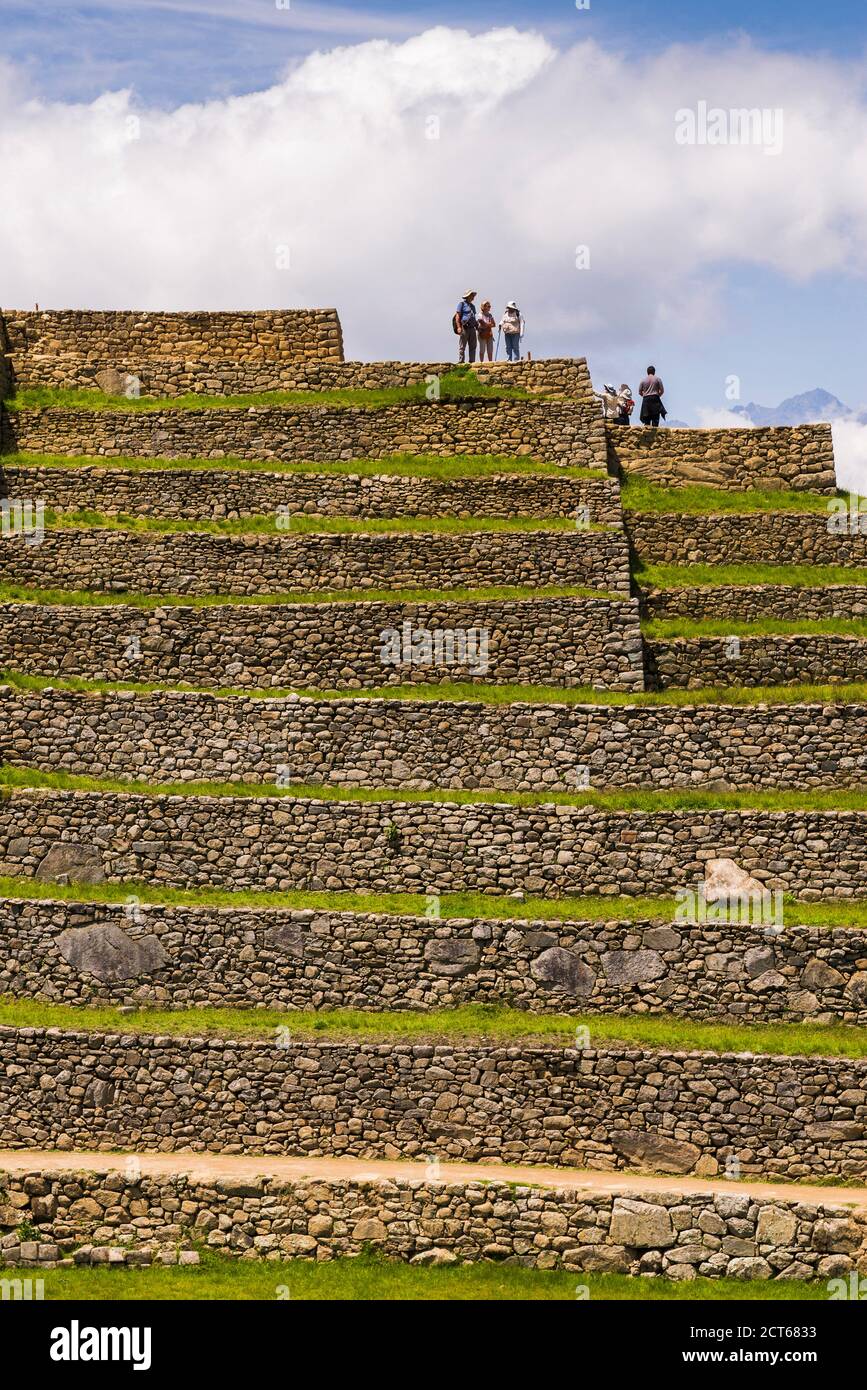 Inca terraces at Machu Picchu Inca ruins, Cusco Region, Peru, South ...