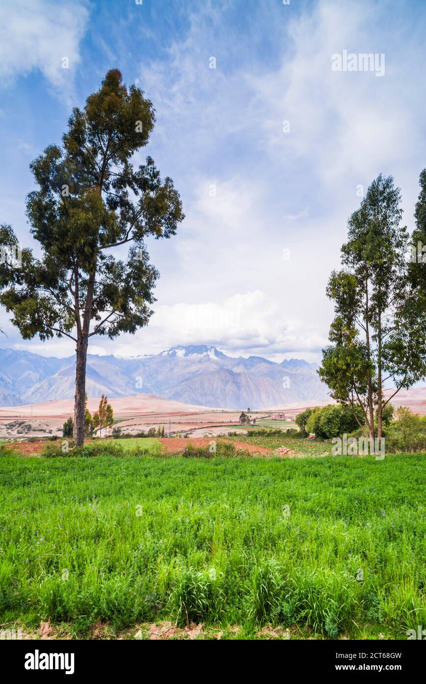 Peru countryside hi-res stock photography and images - Alamy
