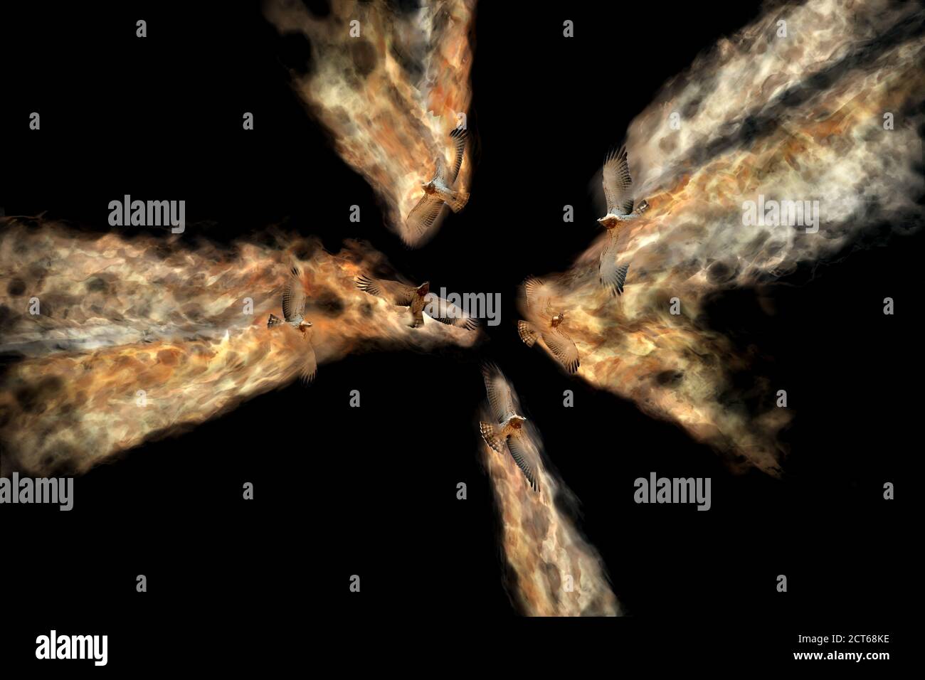 Abstract nature. Flying bird. Dispersion effect. Black background Stock ...