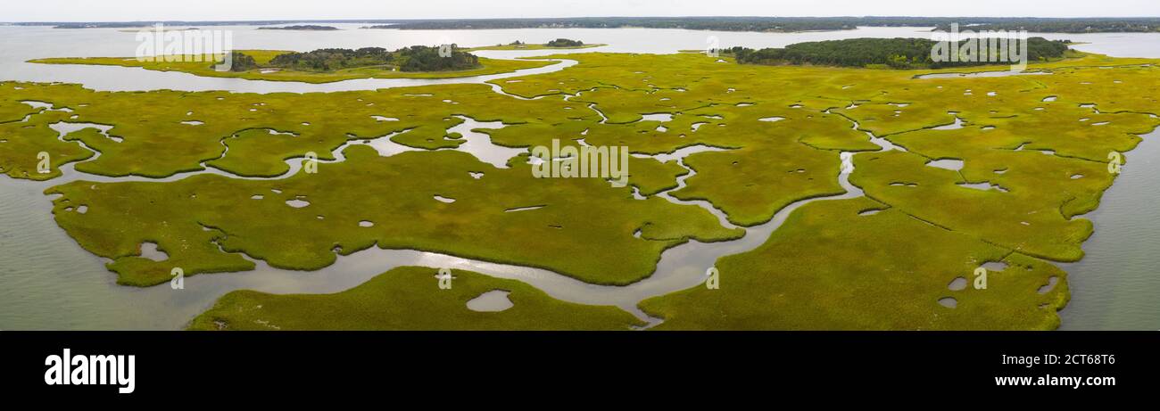 Salt marsh nursery hi-res stock photography and images - Alamy