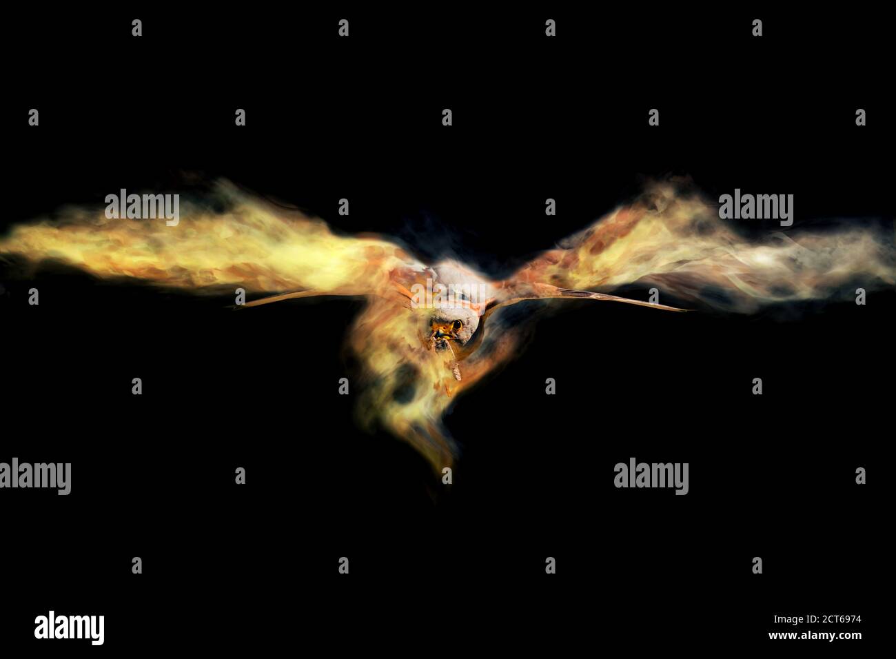 Abstract nature. Flying bird. Dispersion effect. Black background Stock ...