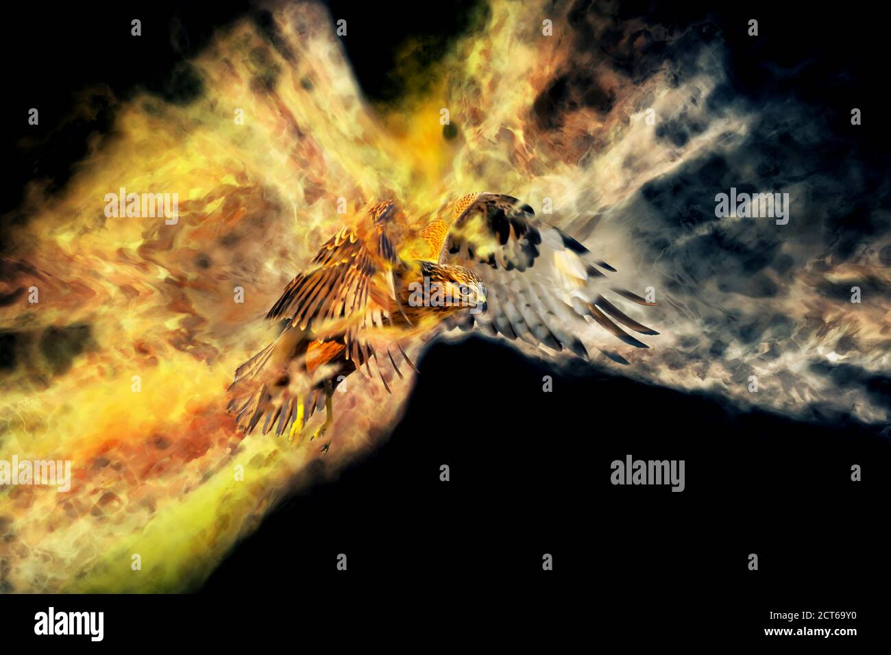 Abstract nature. Flying bird. Dispersion effect. Black background Stock ...