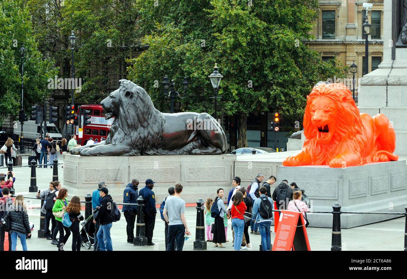 London, Piccadilly Circus with 5th Lions on Nelson's Column Stock Photo ...