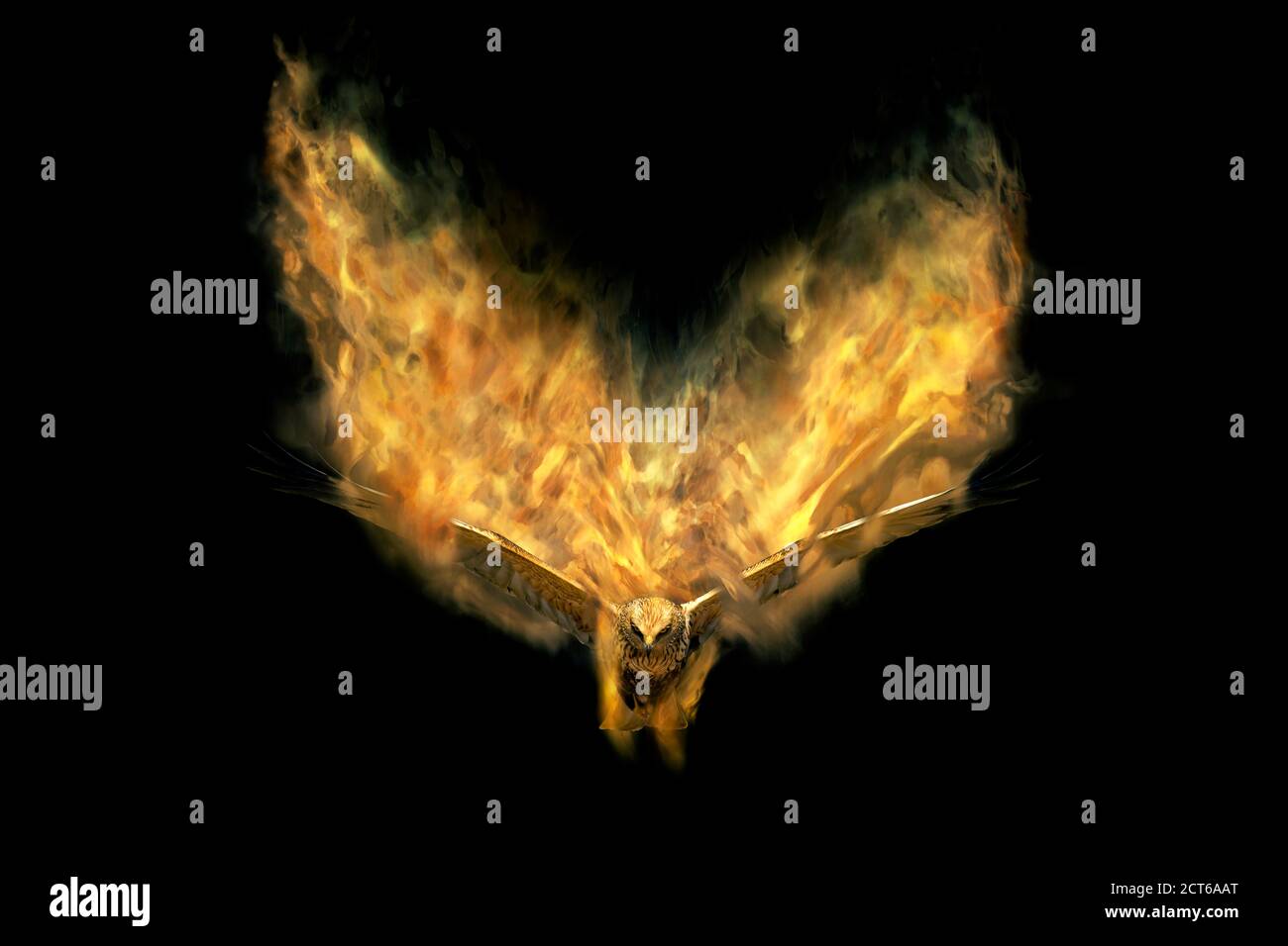 Abstract nature. Flying bird. Dispersion effect. Black background Stock ...