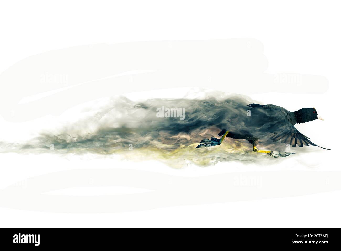 Abstract nature. Flying bird. Dispersion effect. White background Stock ...