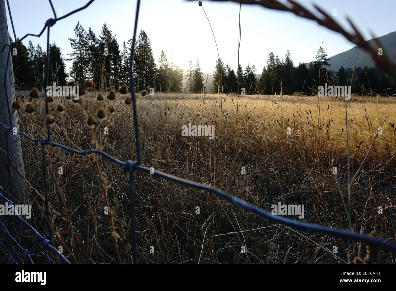 Daytime sunrise hi-res stock photography and images - Alamy