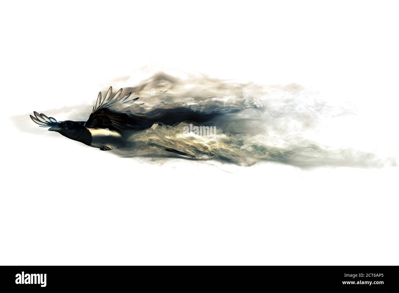 Abstract nature. Flying bird. Dispersion effect. White background Stock ...