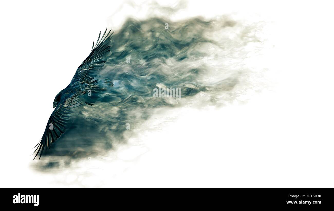 Abstract nature. Flying bird. Dispersion effect. White background Stock ...