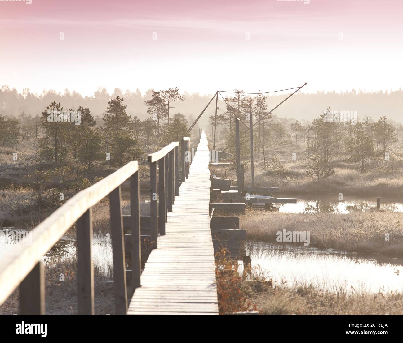 Wooden Boardwalk over Marsh Stock Photo - Alamy