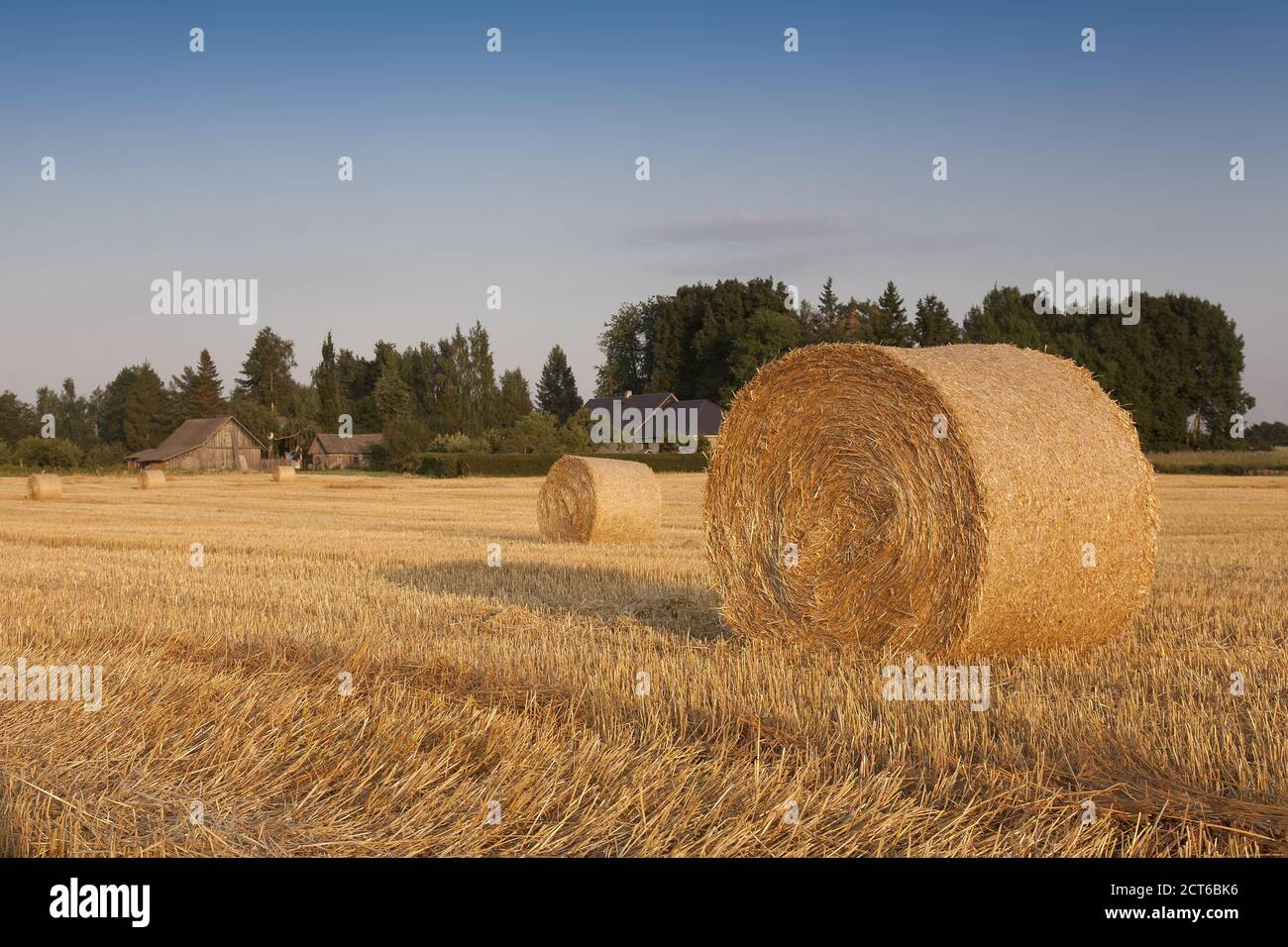 Bale of Hay in Field Stock Photo - Alamy