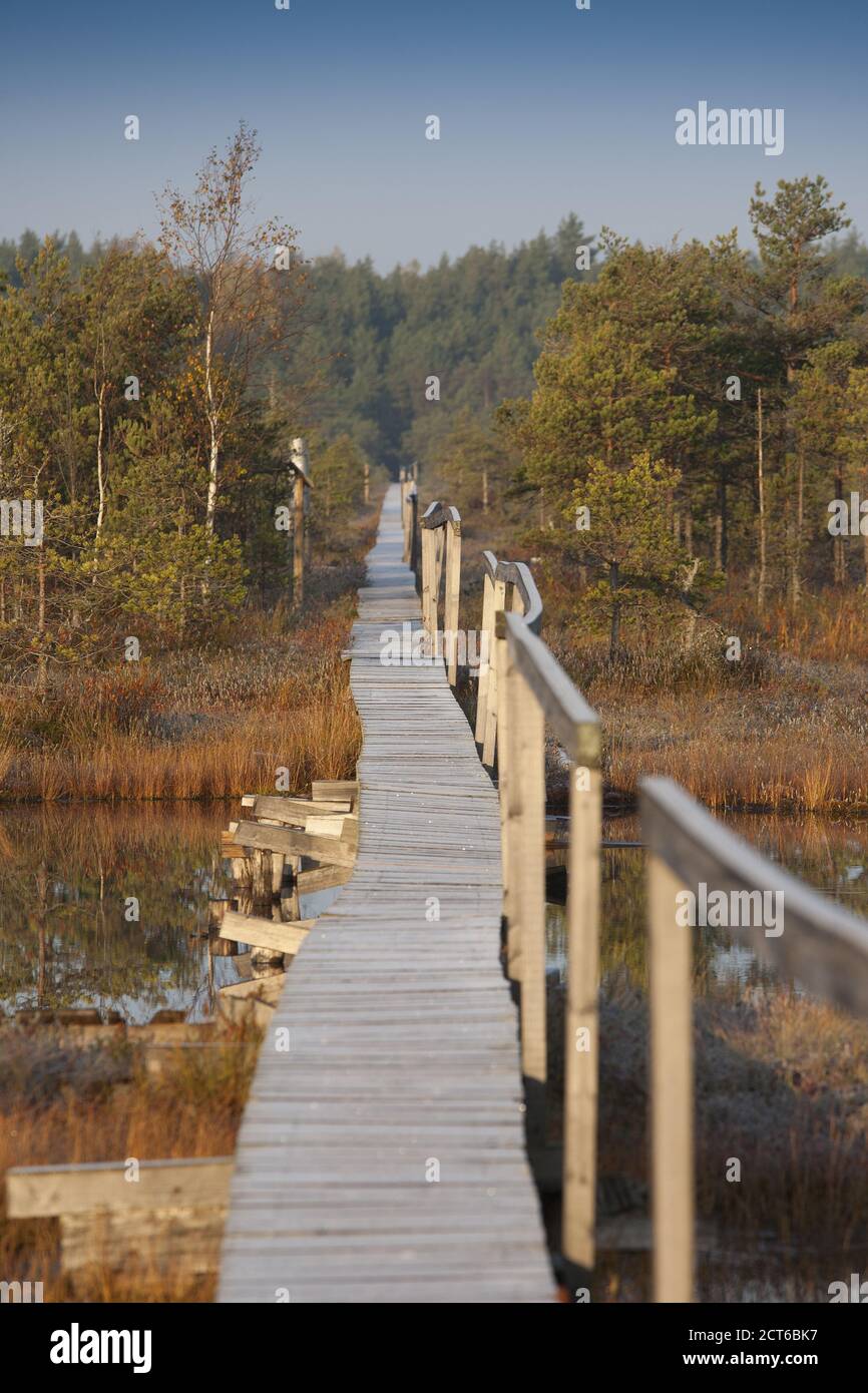 Wooden Boardwalk over Marsh Stock Photo - Alamy