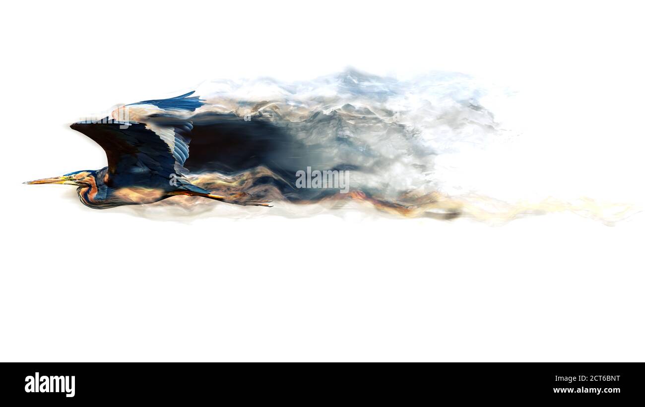 Abstract nature. Flying bird. Dispersion effect. White background Stock ...