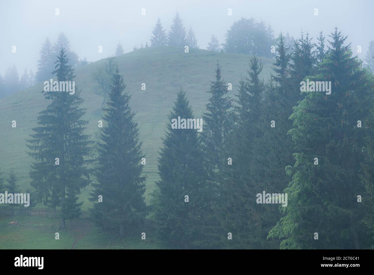 Misty Romanian forest landscape around Sucevita Monastery, Bukovina ...