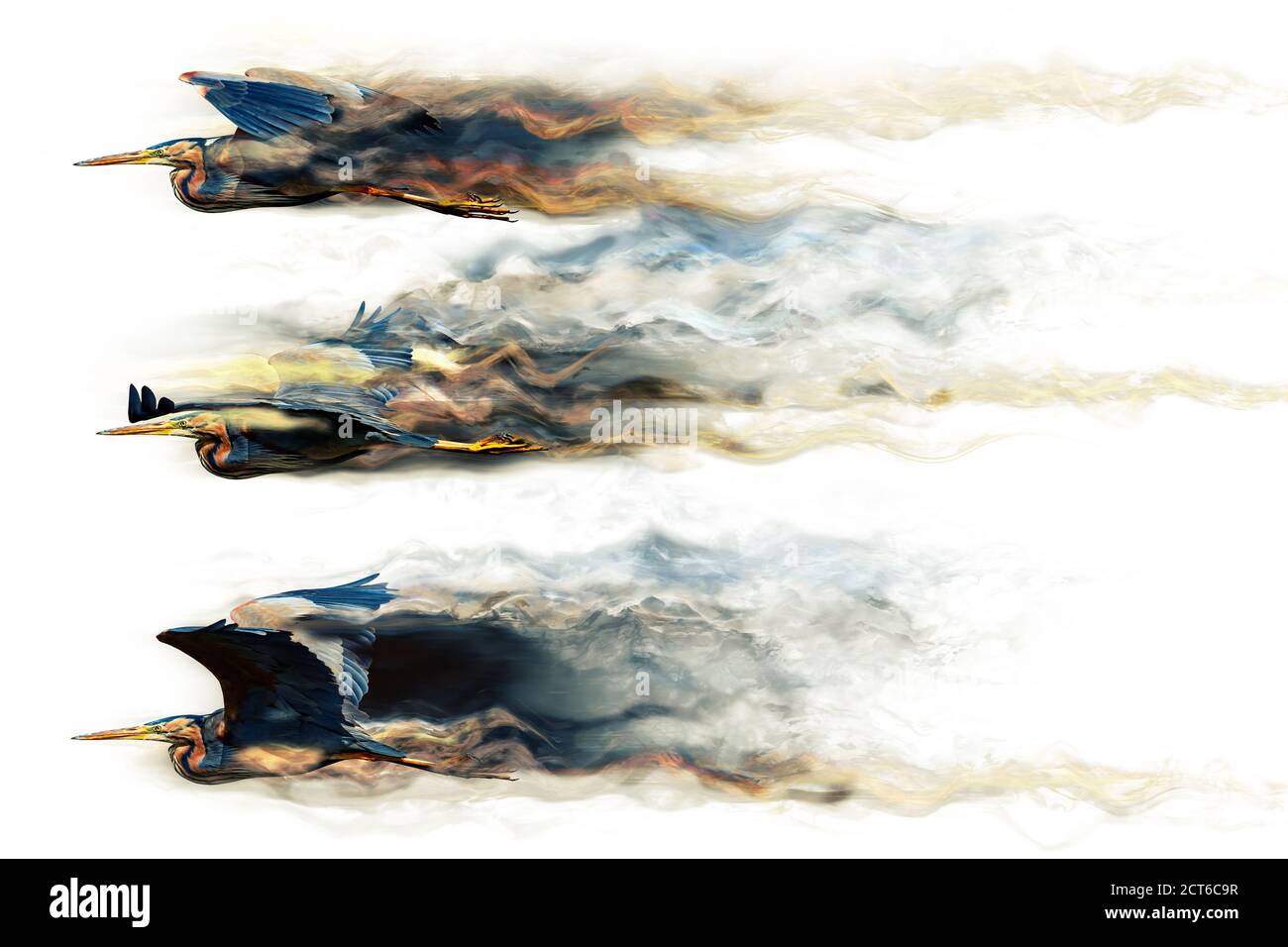 Abstract nature. Flying bird. Dispersion effect. White background Stock ...