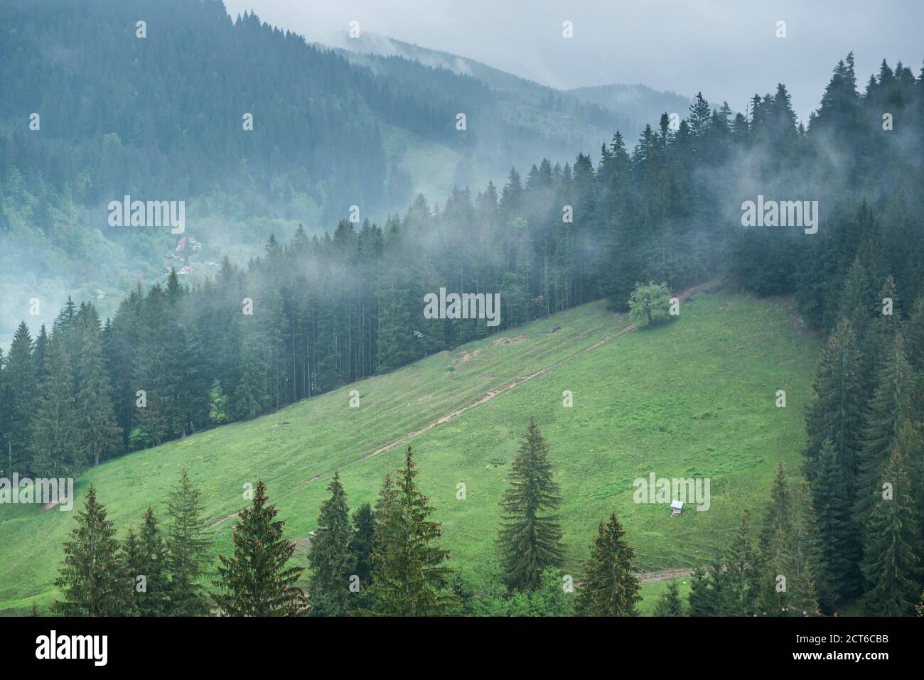 Misty Romanian forest landscape around Sucevita Monastery, Bukovina ...