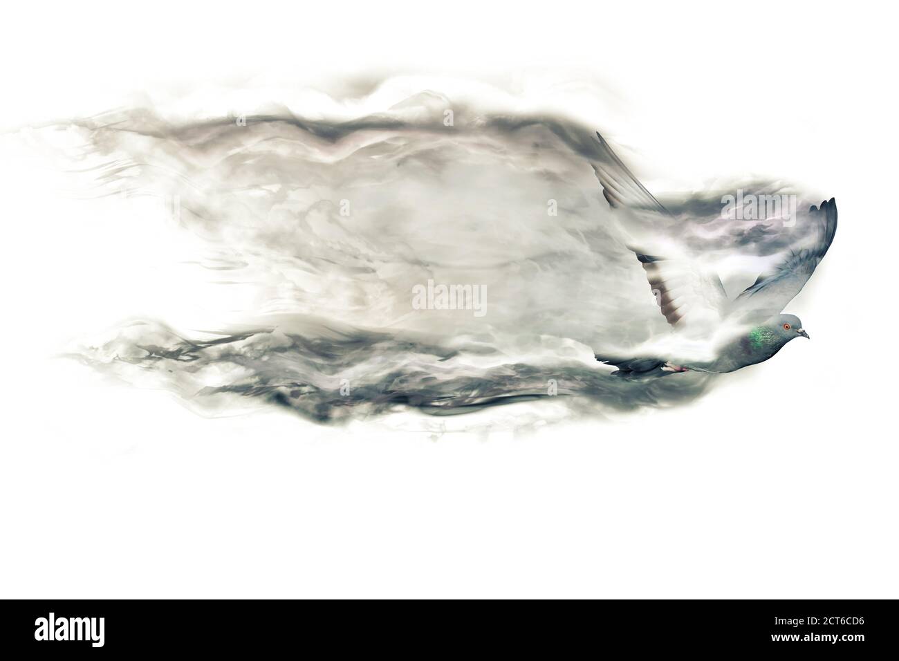 Abstract nature. Flying bird. Dispersion effect. White background Stock ...