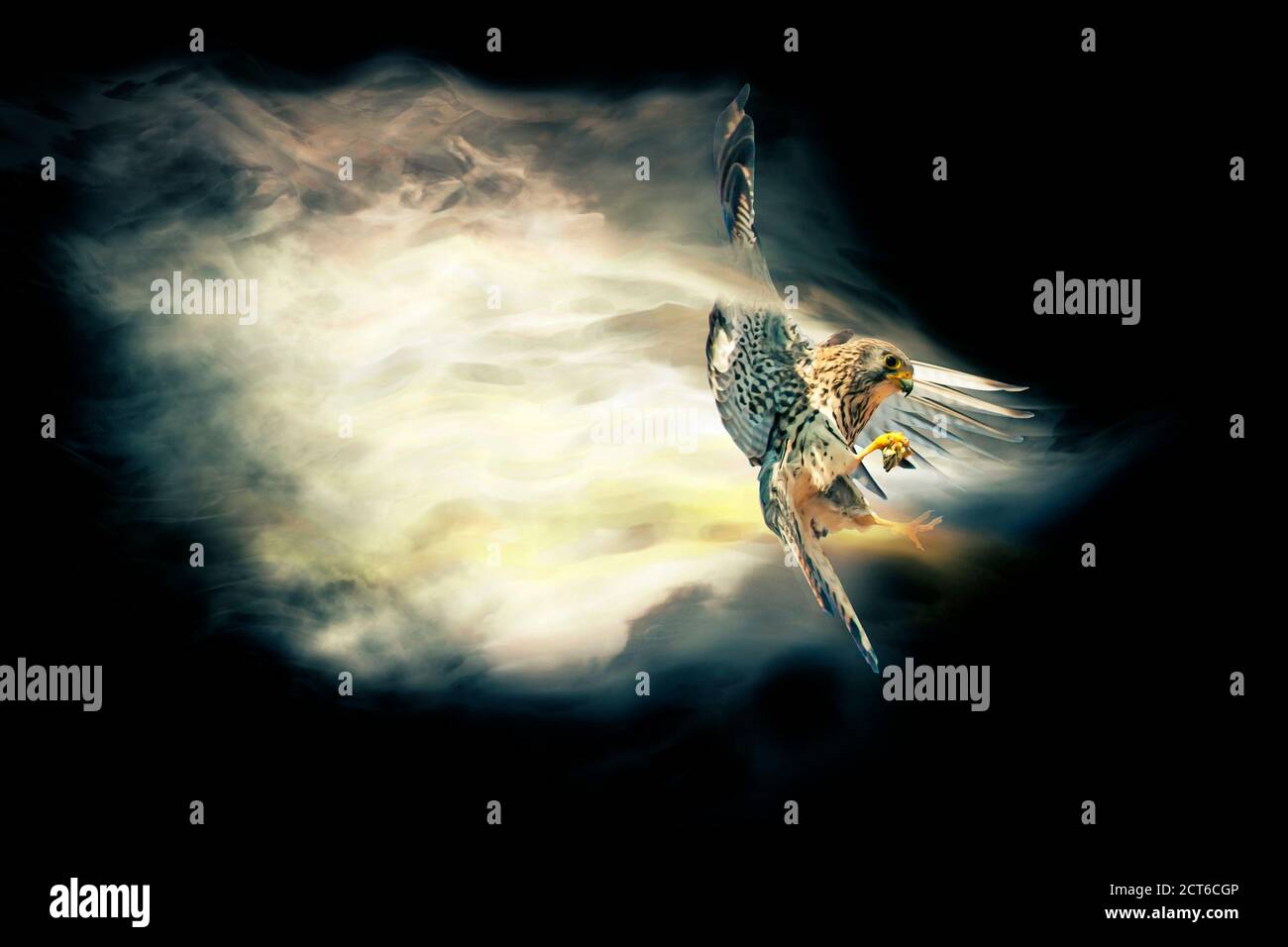 Abstract nature. Flying bird. Dispersion effect. Black background Stock ...