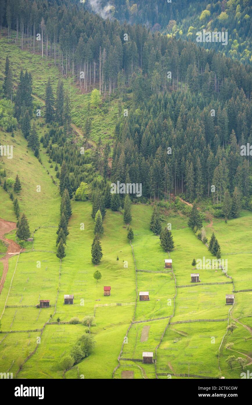 Rural landscape of the Bukovina Region, Sadova, Romania Stock Photo - Alamy