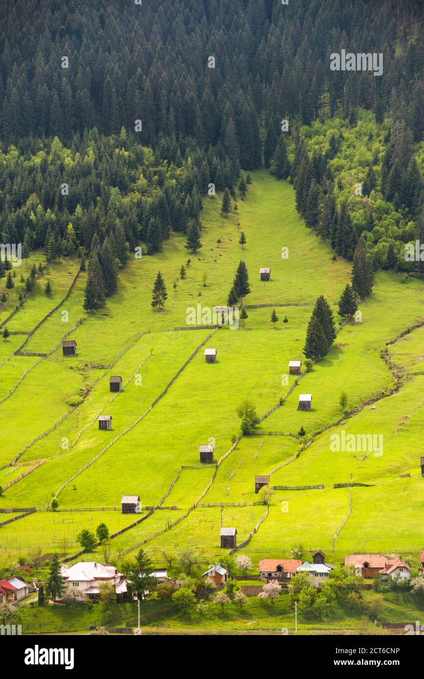 Rural landscape of the Bukovina Region, Sadova, Romania Stock Photo - Alamy