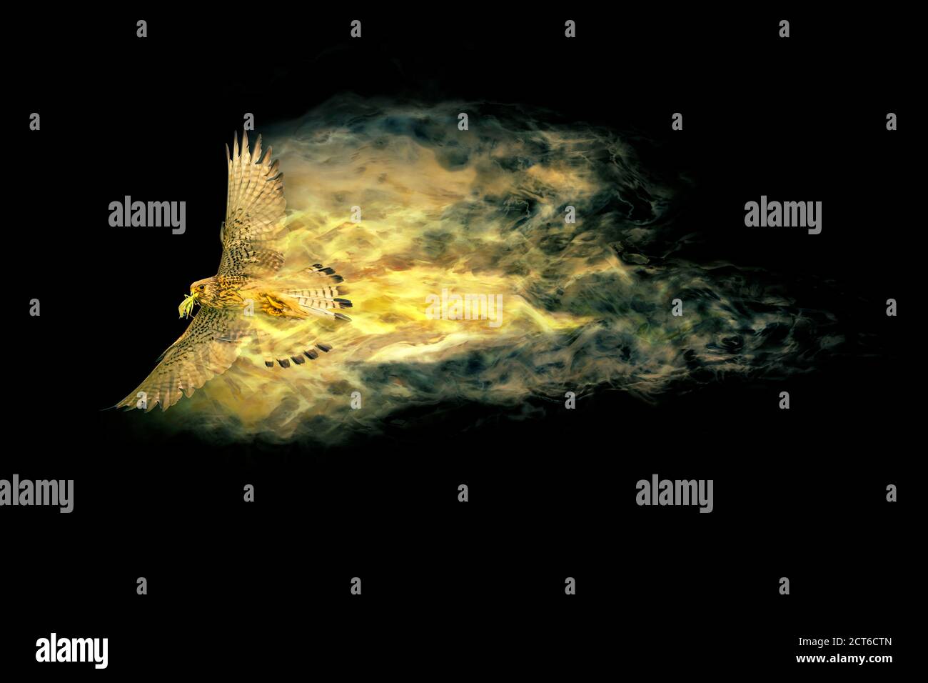 Abstract nature. Flying bird. Dispersion effect. Black background Stock ...