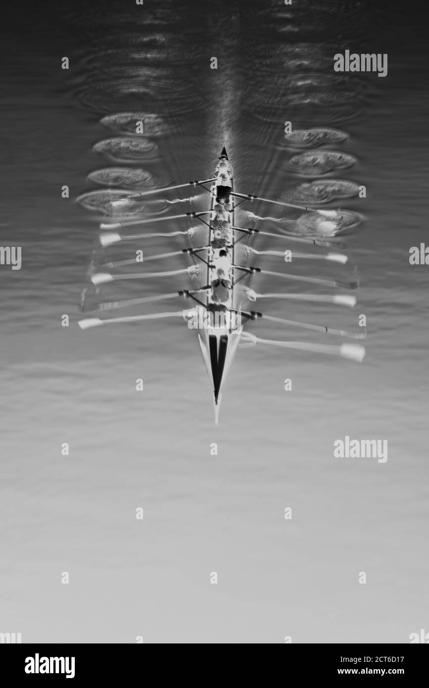 Overhead view of a crew in an eights boat rowing on a lake Stock Photo ...