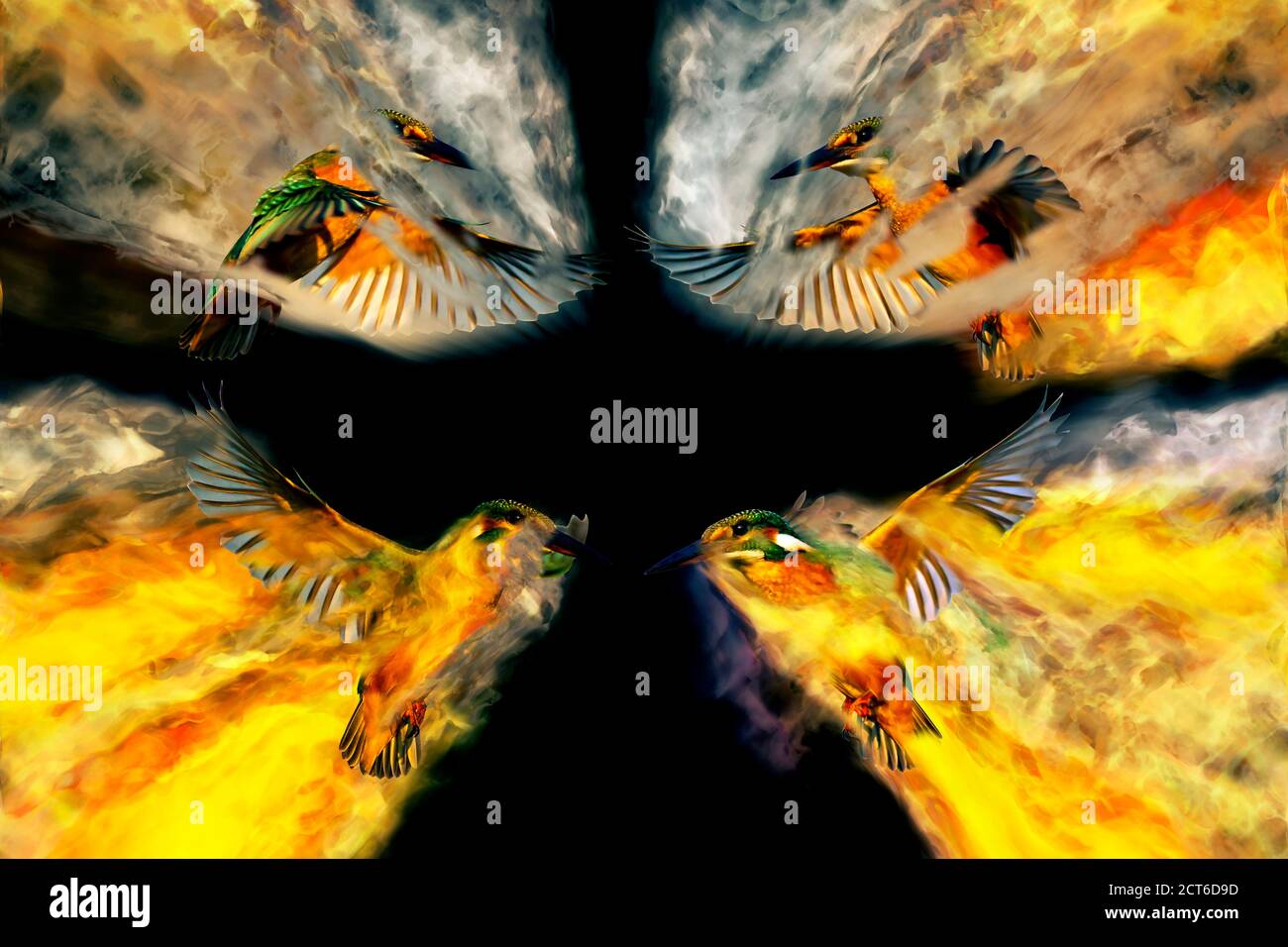 Abstract nature. Flying bird. Dispersion effect. Black background ...