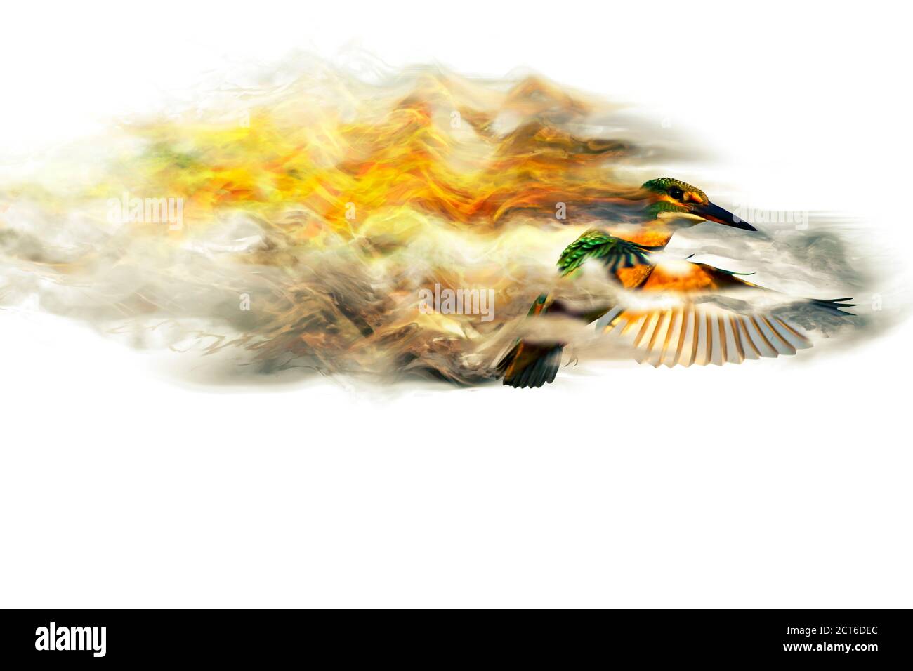 Abstract nature. Flying bird. Dispersion effect. White background ...