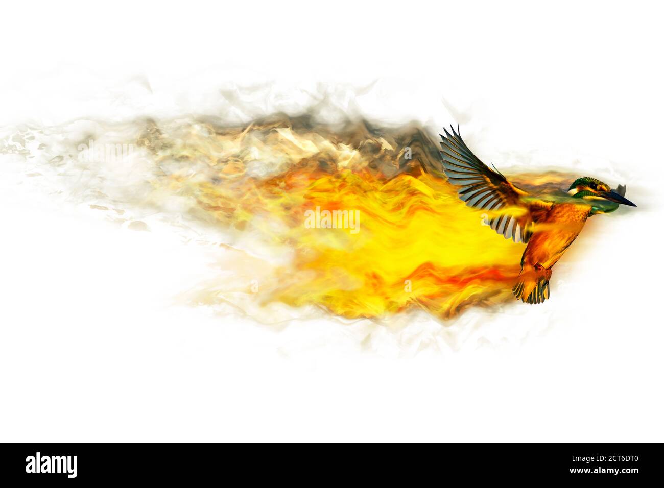 Abstract nature. Flying bird. Dispersion effect. White background ...