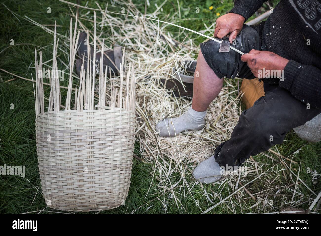 Making wicker baskets in Breb (Brebre), Maramures, Romania Stock Photo ...