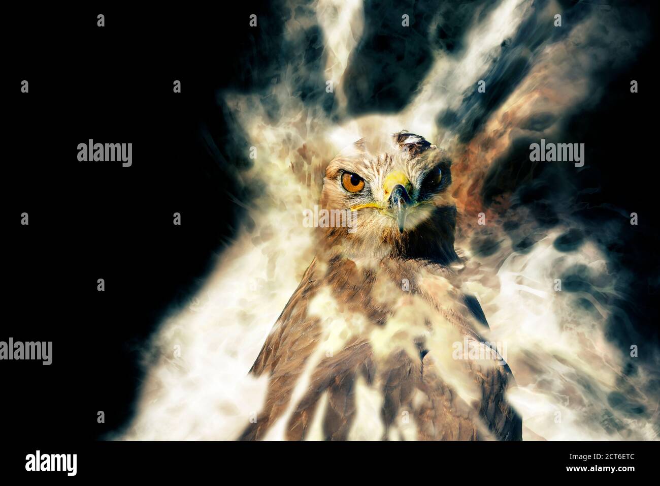 Abstract nature. Dispersion effect. Black background Stock Photo - Alamy