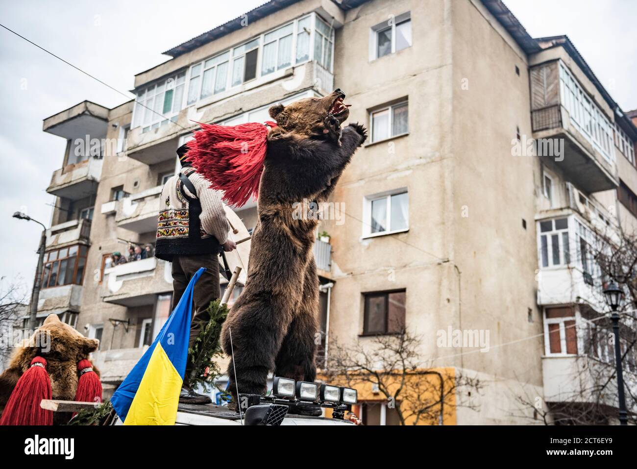 Comanesti festival bear hi-res stock photography and images - Alamy