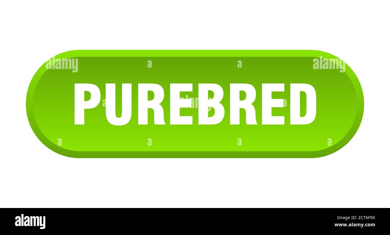 purebred button. rounded sign isolated on white background Stock Vector ...