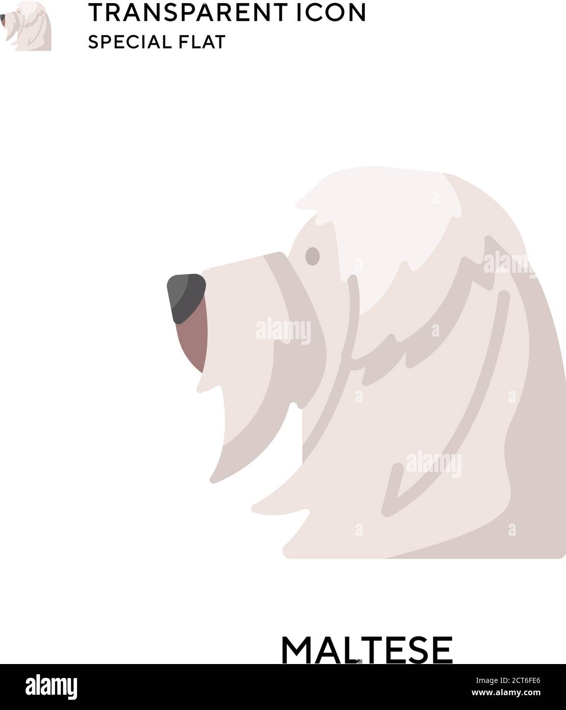 Maltese dog vector vectors hi-res stock photography and images - Alamy