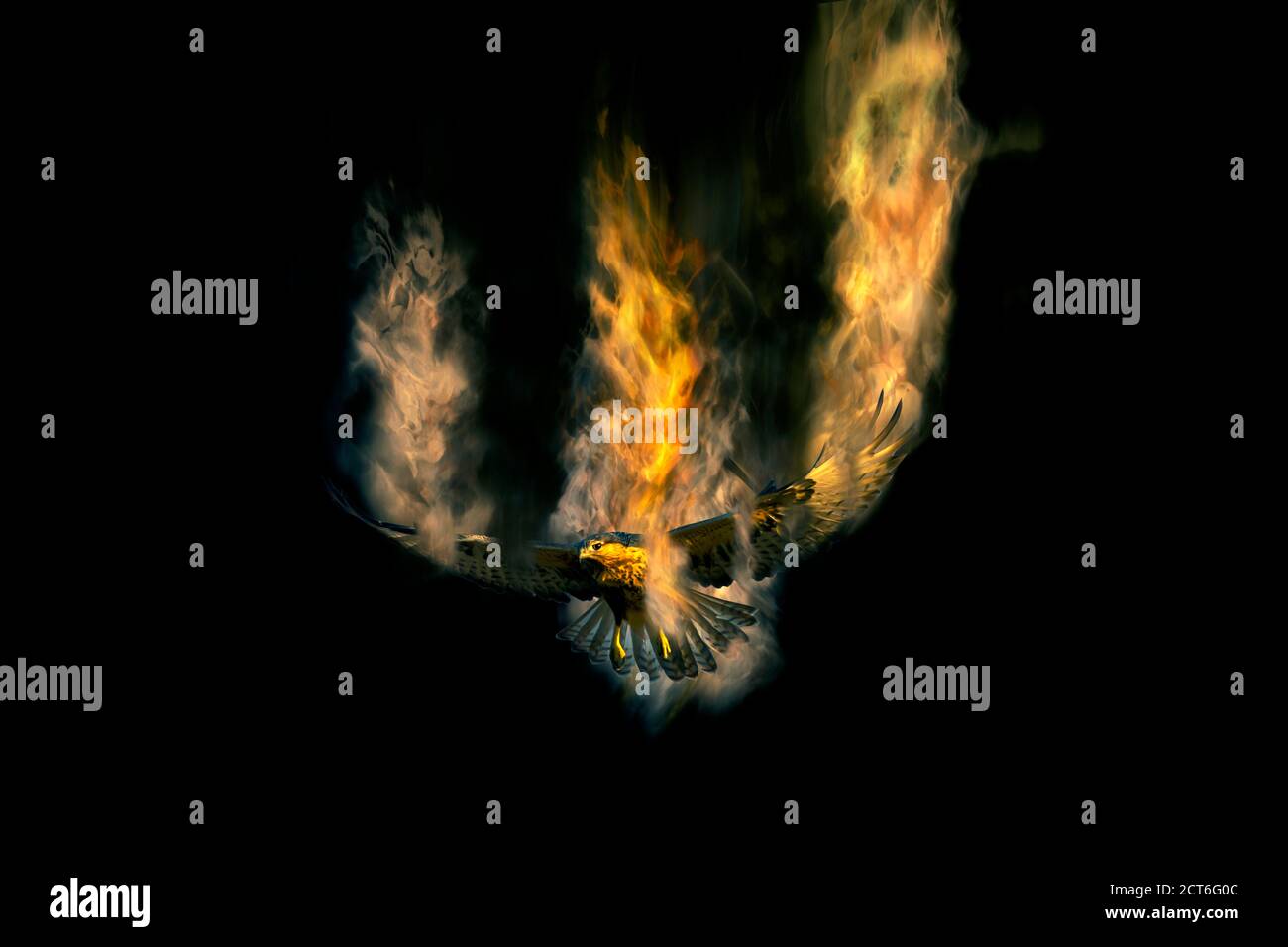 Abstract nature. Flying bird. Dispersion effect. Black background Stock ...