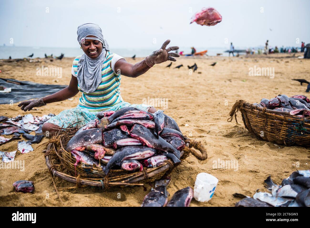 Negombo fish market (Lellama fish market), portrait of a woman gutting ...